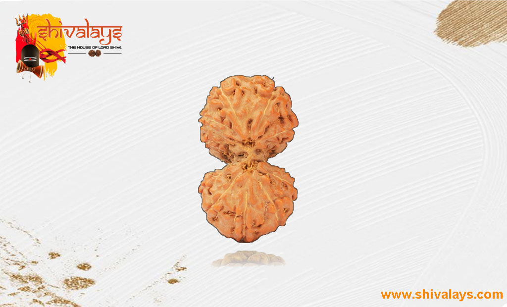 Shivalays.com is a web e-commerce store to shop for actual Rudraksha ...